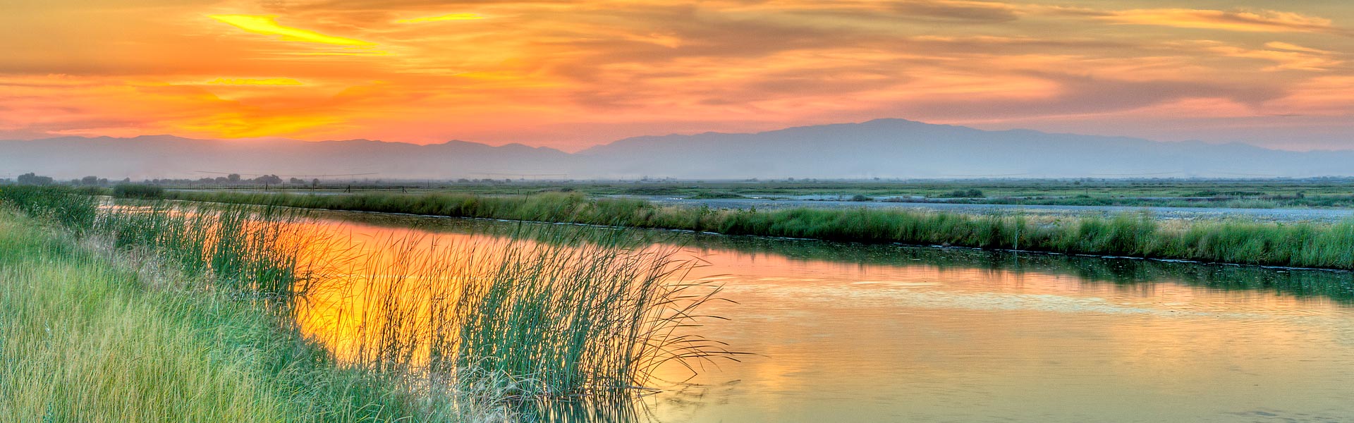 Water Conservation - Water Association of Kern County